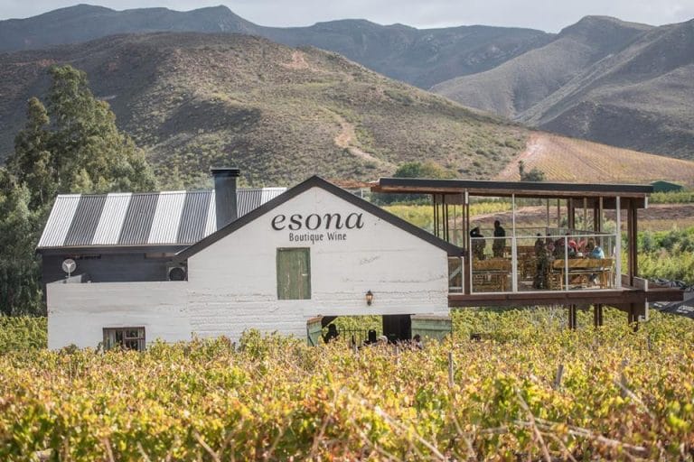 Five Wine Farms You Have to Visit on Your Trip to the Robertson Wine ...