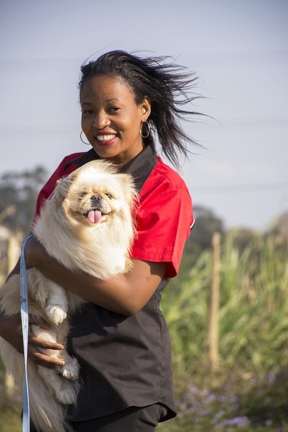 Now You Can Travel Without Worrying Over Your Pets – Drive South Africa