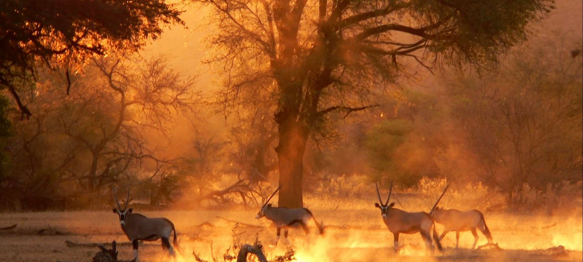 Namibia Offers the Most Unique Experiences – Drive South Africa