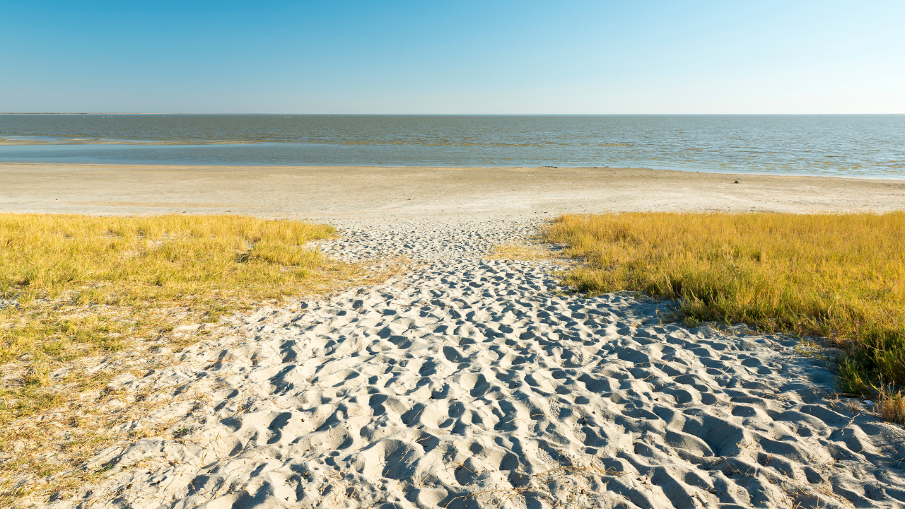 10 Experiences You Have to Try in Botswana – Drive South Africa