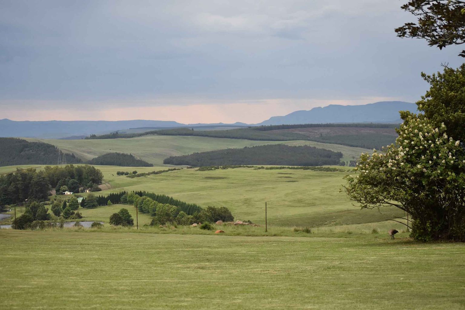 10 of the Most Scenic Drives in South Africa – Drive South Africa