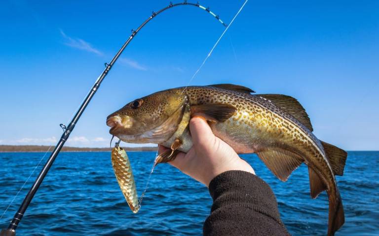 Fishing in Namibia: Your Ultimate Guide to a Fish-Focused Road Trip ...