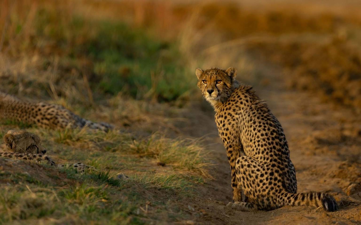 Autumn Getaways Close to Gauteng for Nature Lovers – Drive South Africa